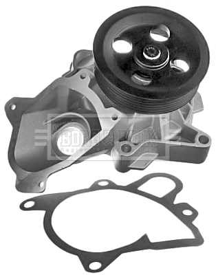 CAPSautomotive Water Pump for Bmw 11517801609 11517791834 11517805810 ...